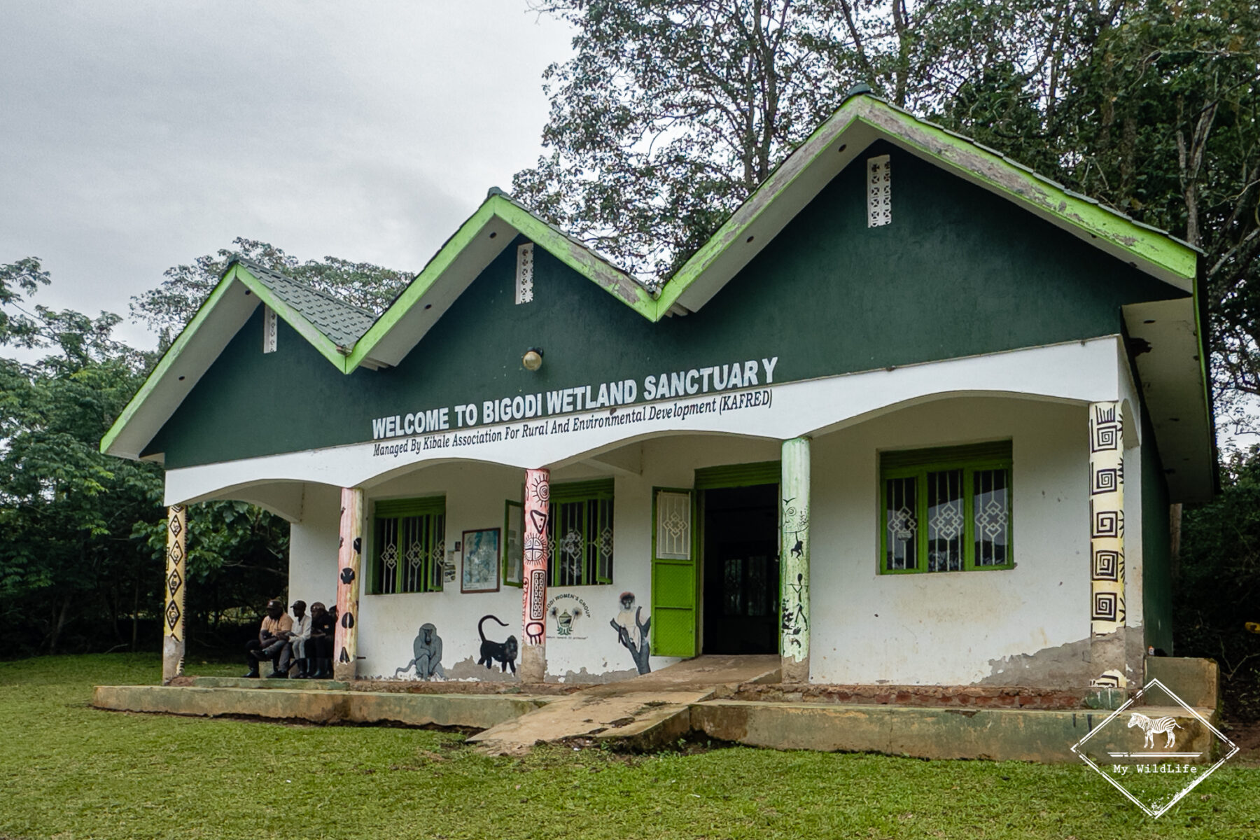 Balade naturaliste dans le marais de Bigodi (Ouganda)